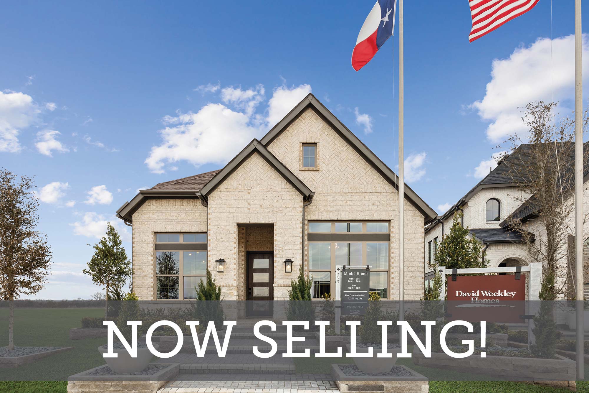Now Selling New Homes in Mantua Point Gardens Van Alstyne, TX | David ...